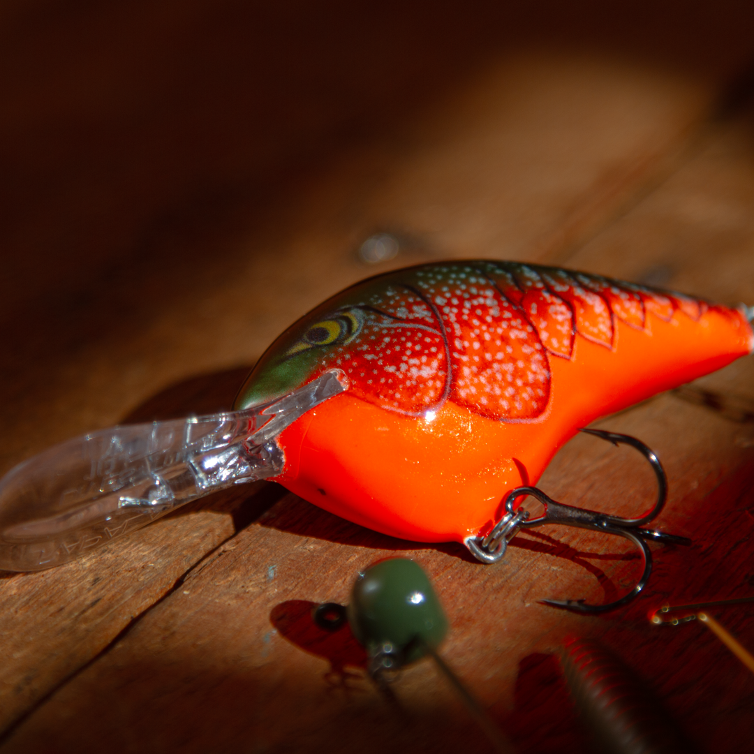 Rapala — DT 10 crankbait 3 1x1 - Jeffrey Davis Fishing